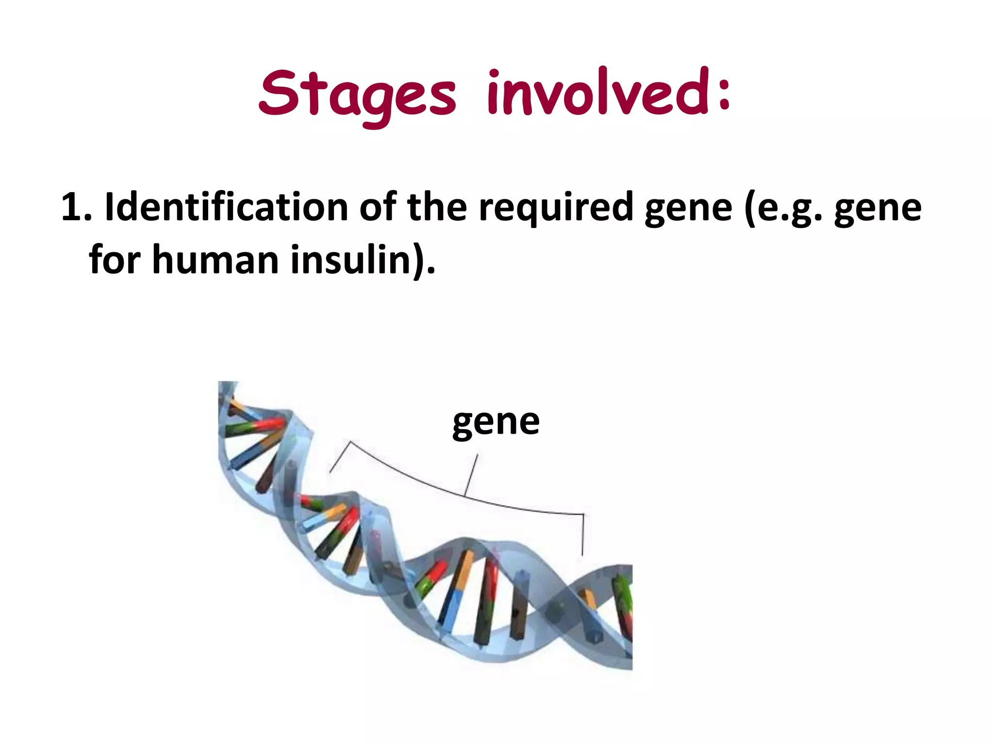 Genetic engineering | PPTX