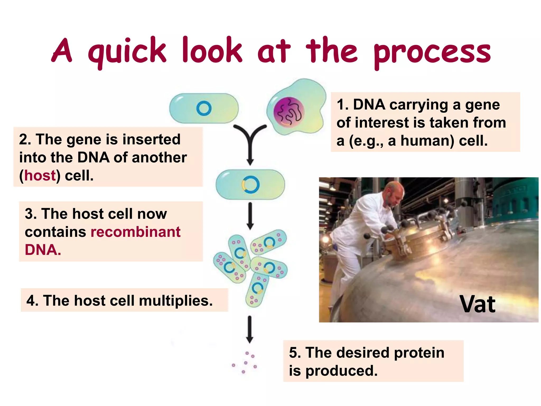 Genetic engineering | PPTX