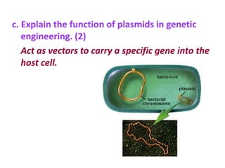 Genetic engineering | PPTX