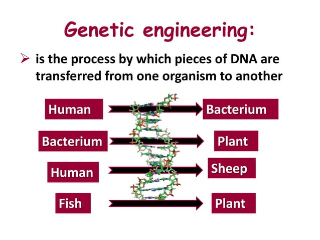 Genetic engineering | PPTX