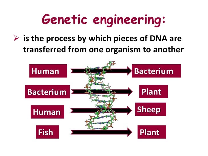 Genetic engineering