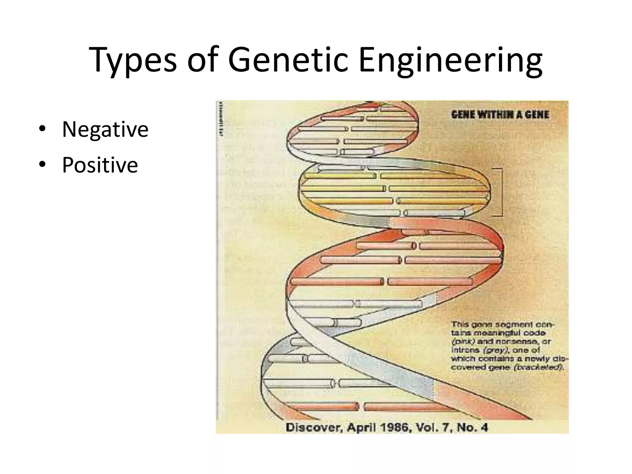 Genetic engineering, issues and concern | PPTX