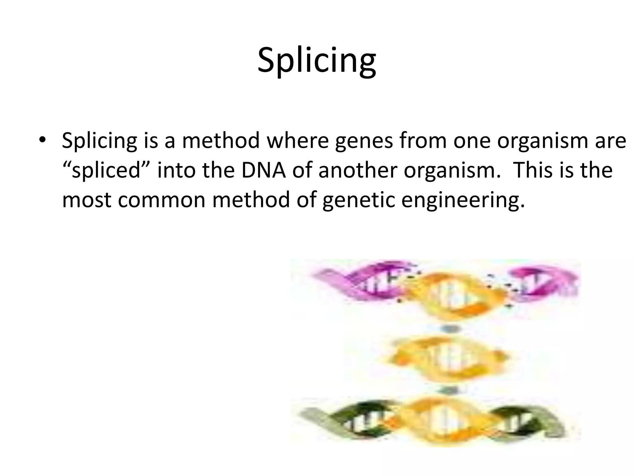 Genetic engineering, issues and concern | PPTX