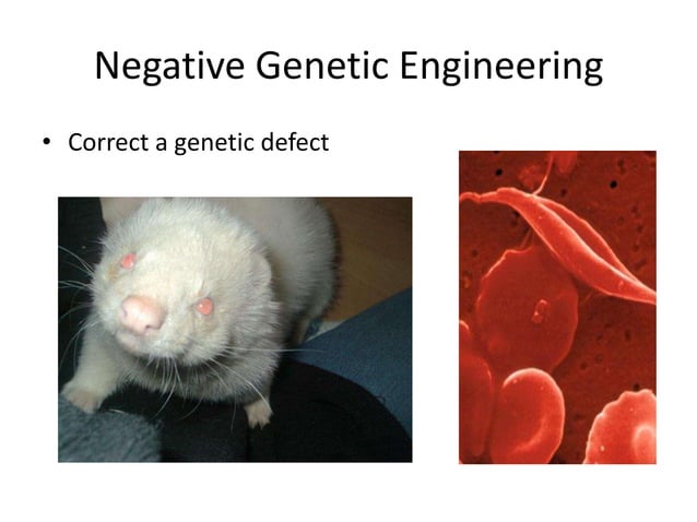 Genetic engineering, issues and concern | PPT