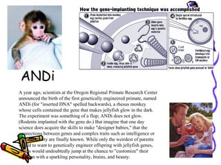 Genetic engineering | PPT