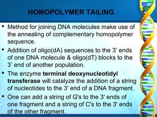 LIGATION OF DNA | PPT