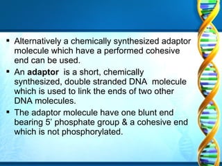 LIGATION OF DNA | PPT