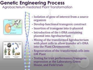Genetic engineering and Transgenic | PPTX