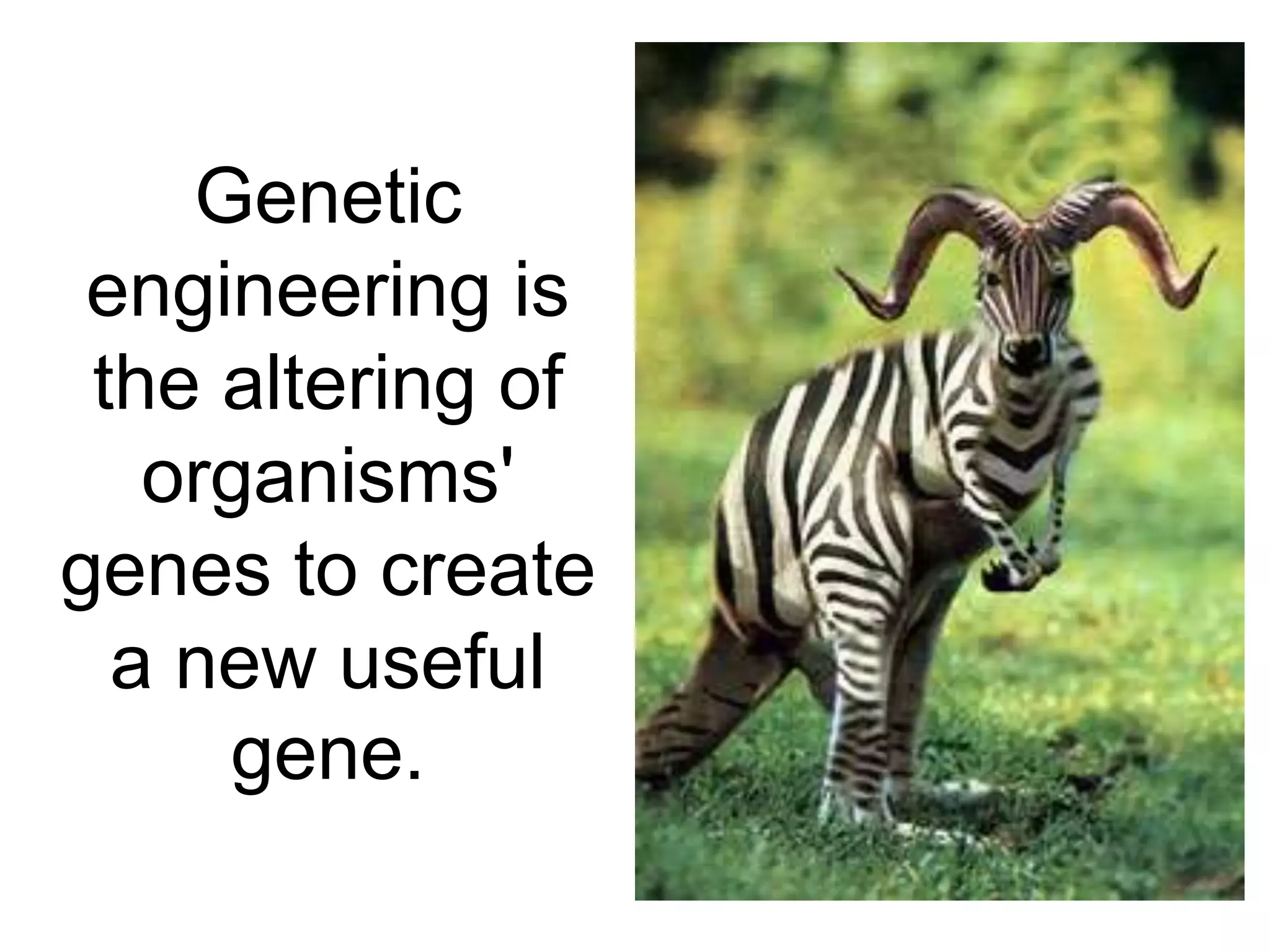 Genetic engineering | PPTX