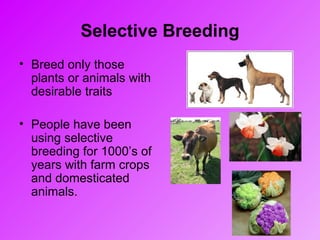 Genetic engineering | PPT