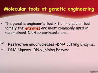 Genetic engineering | PPT