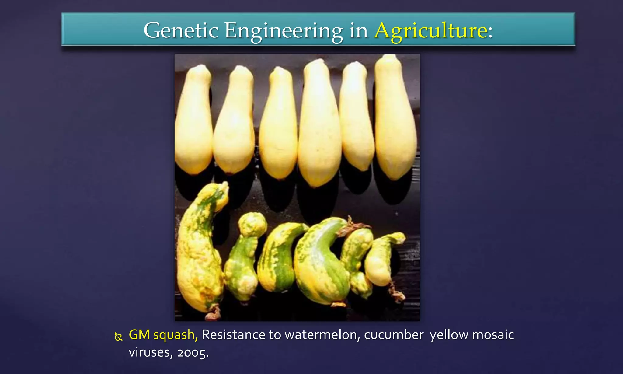 Genetic engineering | PPTX