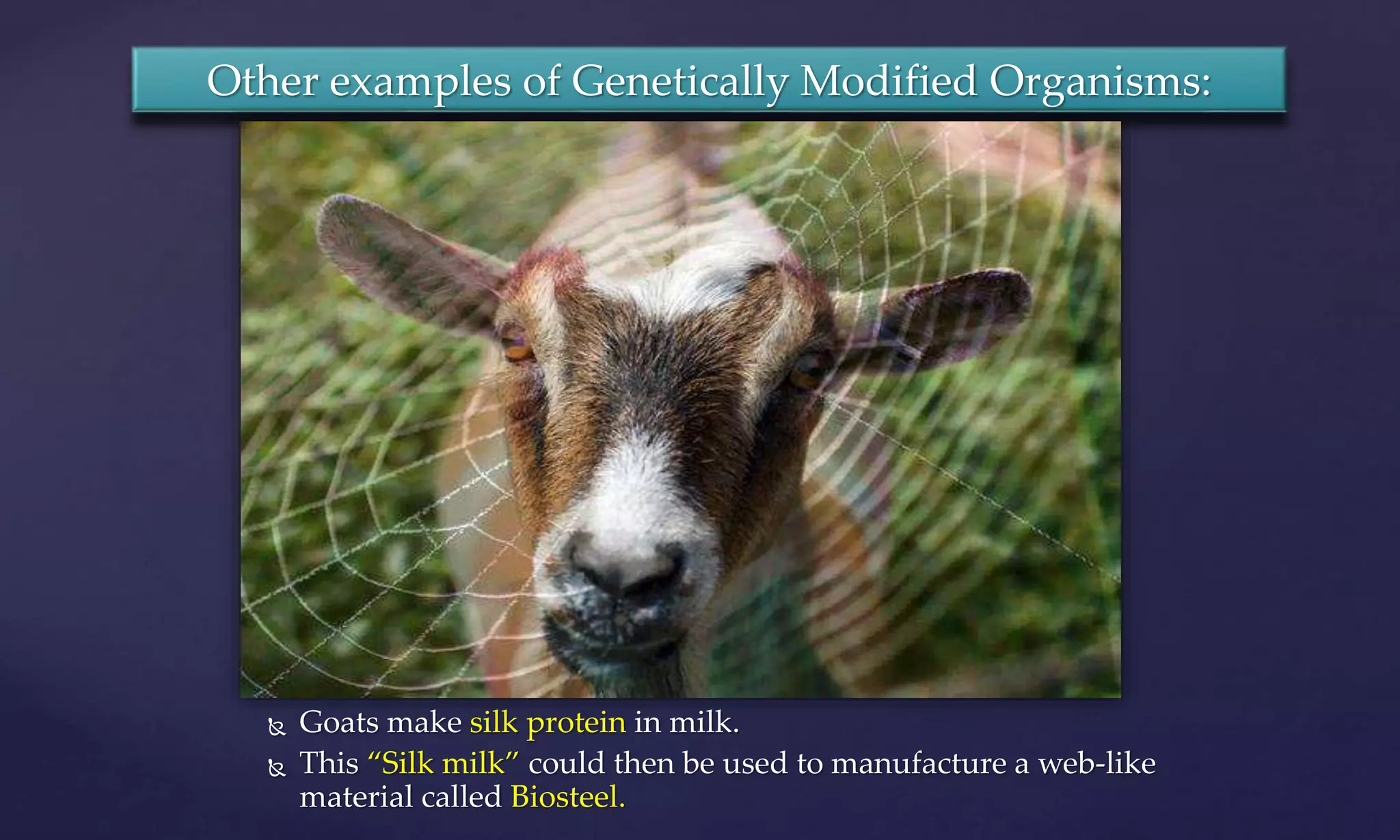 Genetic engineering | PPTX