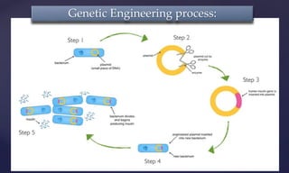 Genetic Engineering Steps