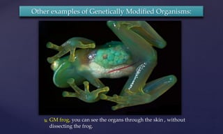 Genetic engineering | PPT