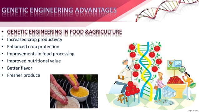 Genetic engineering | PPT