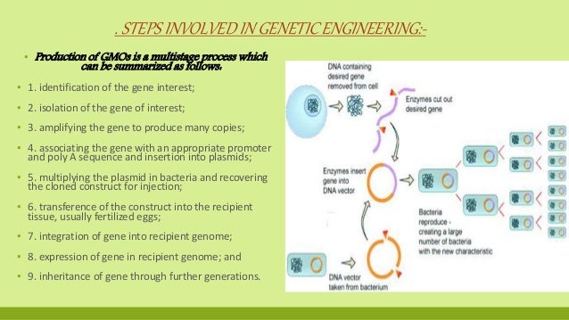 Genetic engineering