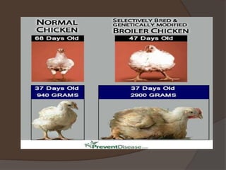 Genetic engineering-The Negative Side | PPTX