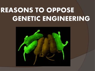 Genetic engineering-The Negative Side | PPTX