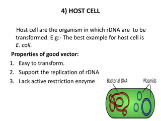 Genetic engineering | PPTX | Biotech and Biomedical Industry | Industries