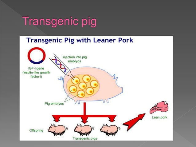 Genetic engineering | PPT | Free Download