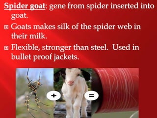 Genetic engineering | PPTX