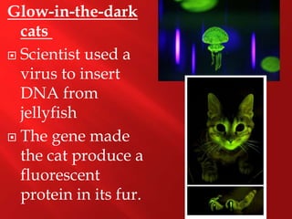 Genetic engineering | PPTX