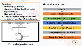 Genetic engineering | PPT