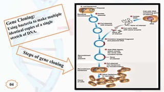 Genetic engineering | PPT