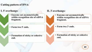 Genetic engineering | PPT