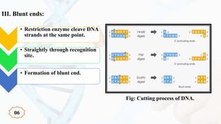 Genetic engineering | PPT