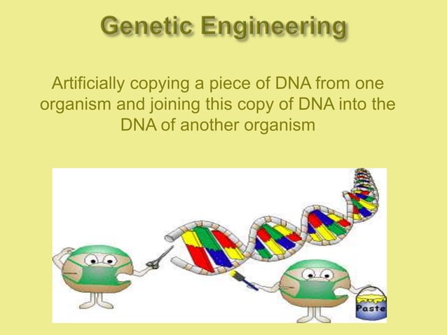 Genetic engineering overview | PPTX | Biotech and Biomedical Industry ...