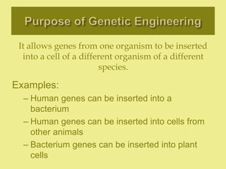Genetic engineering overview | PPTX