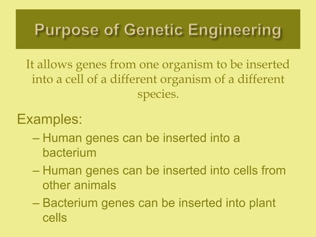 Genetic engineering overview | PPTX | Biotech and Biomedical Industry ...