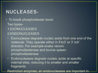 Genetic engineering | PPT