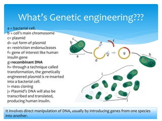Genetic engineering | PDF