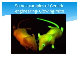 Genetic engineering | PDF | Biotech and Biomedical Industry | Industries