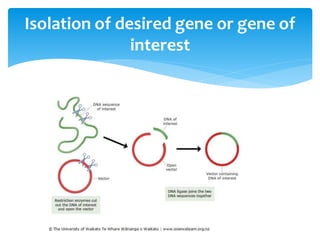 Genetic engineering | PDF | Biotech and Biomedical Industry | Industries