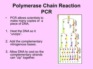 Genetic engineering | PPT