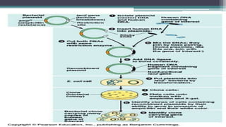 Genetic engineering | PPTX