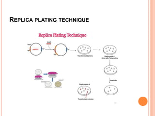 Genetic engineering | PPT