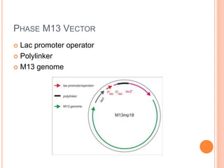 Genetic engineering | PPT