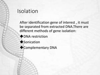 Genetic engineering | PPTX | Genetics | Science