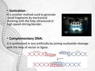 Genetic engineering | PPTX | Genetics | Science