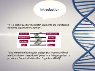 Genetic engineering | PPTX | Genetics | Science