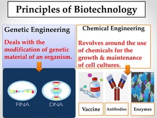 Genetic engineering | PPTX