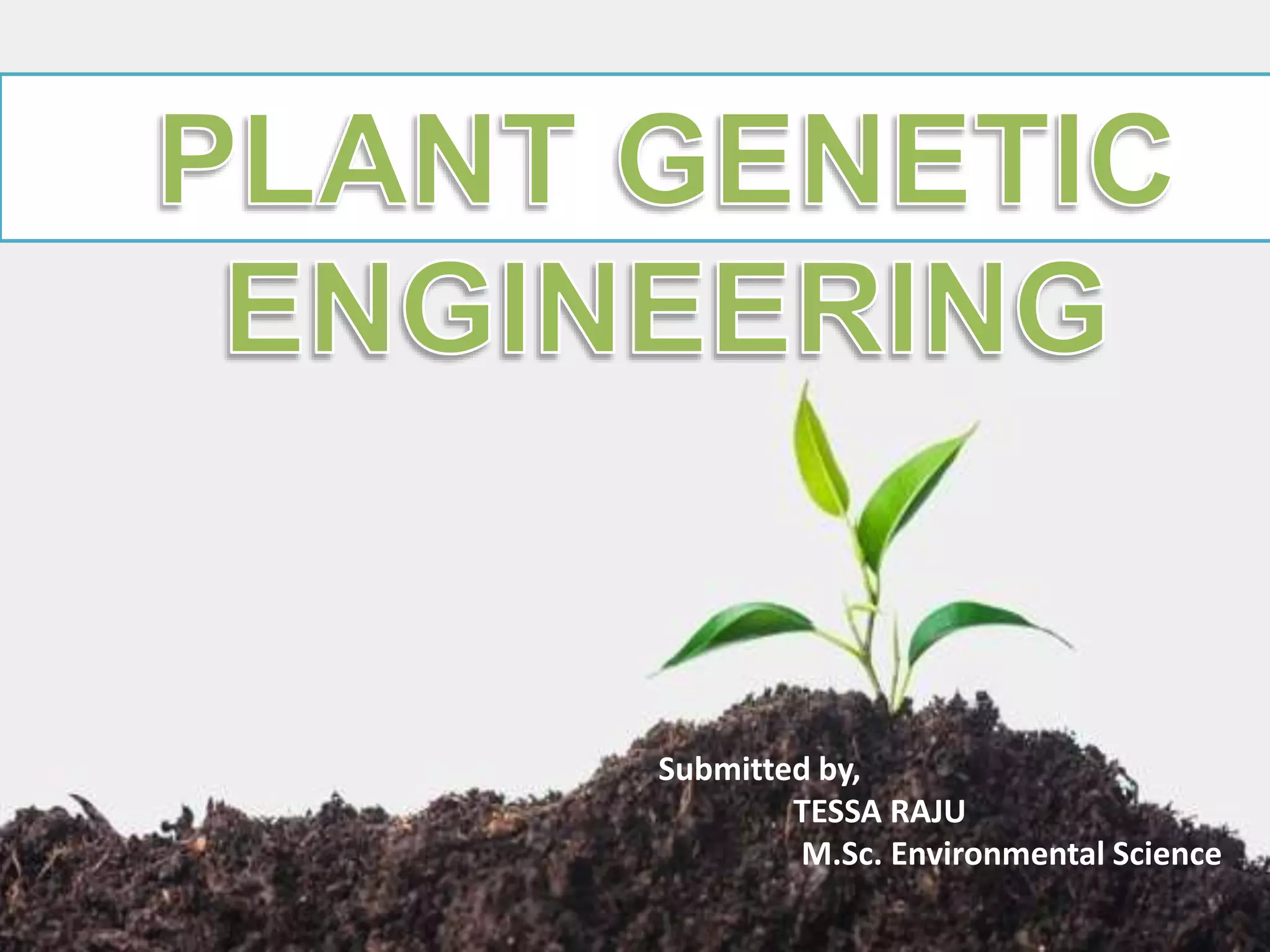 Plant Genetic engineering ,Basic steps ,Advantages and disadvantages | PPTX