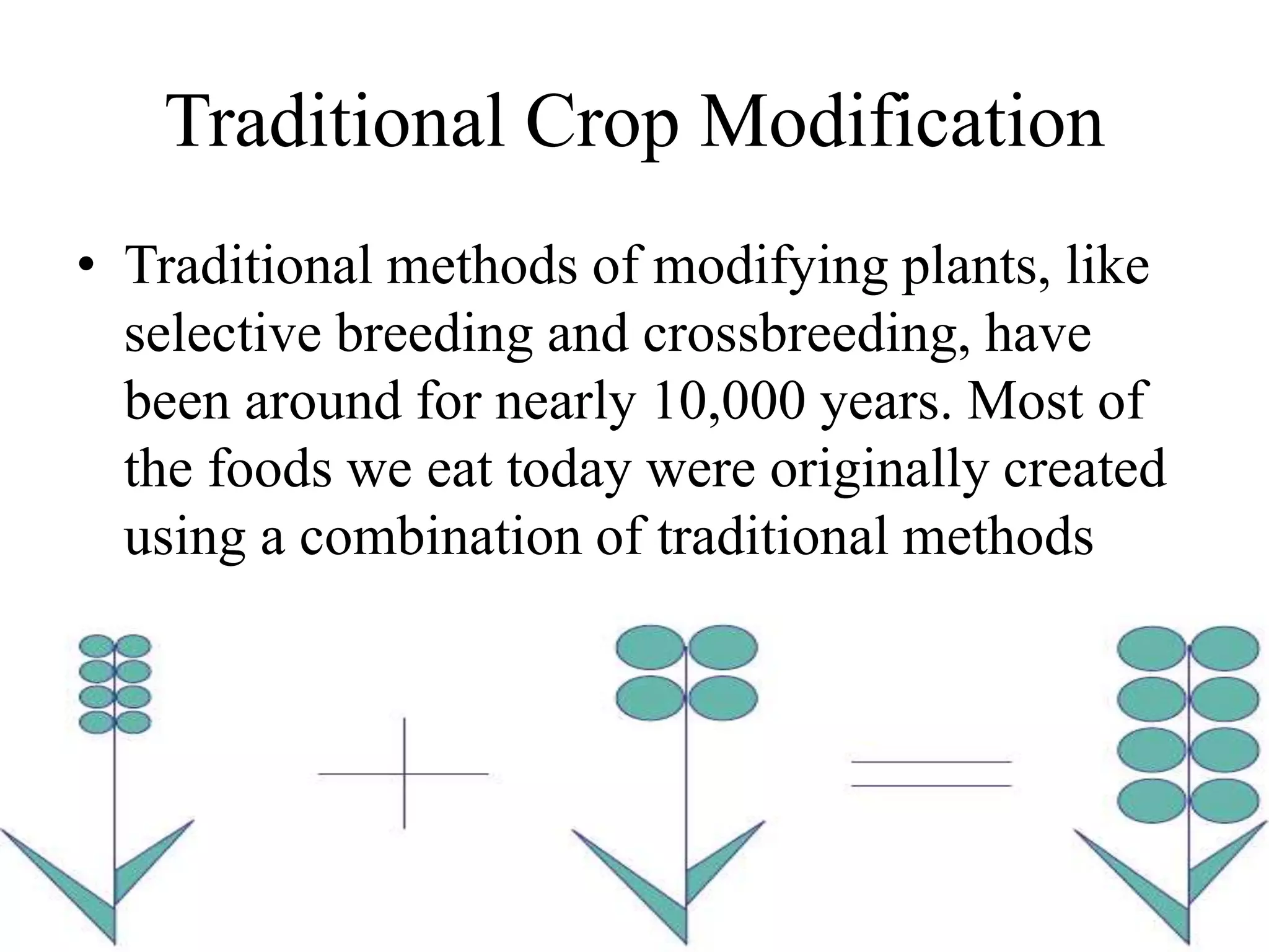 Plant Genetic engineering ,Basic steps ,Advantages and disadvantages | PPTX