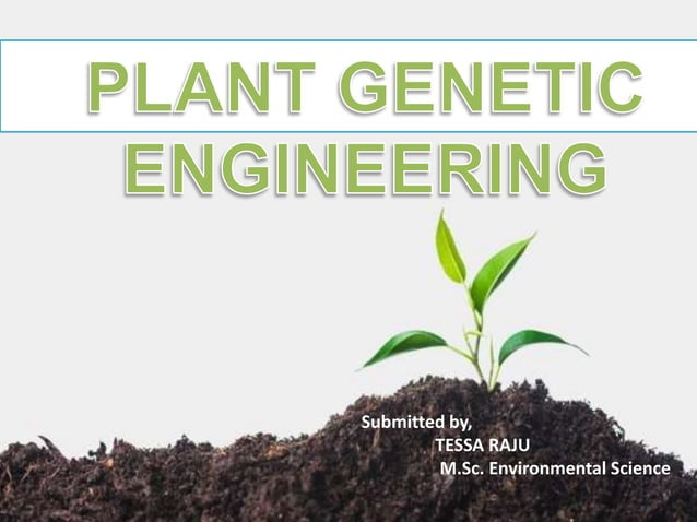 Plant Genetic engineering ,Basic steps ,Advantages and disadvantages ...