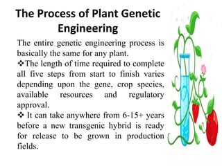 Plant Genetic engineering ,Basic steps ,Advantages and disadvantages | PPTX